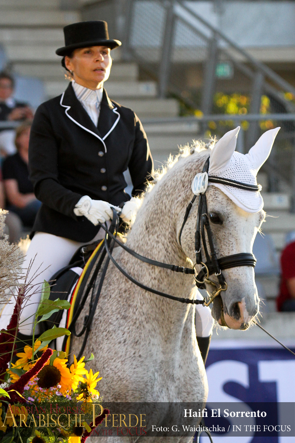 „Das arabische Pferd im Sport“Fotowettbewerb des VZAP – Arabische ...